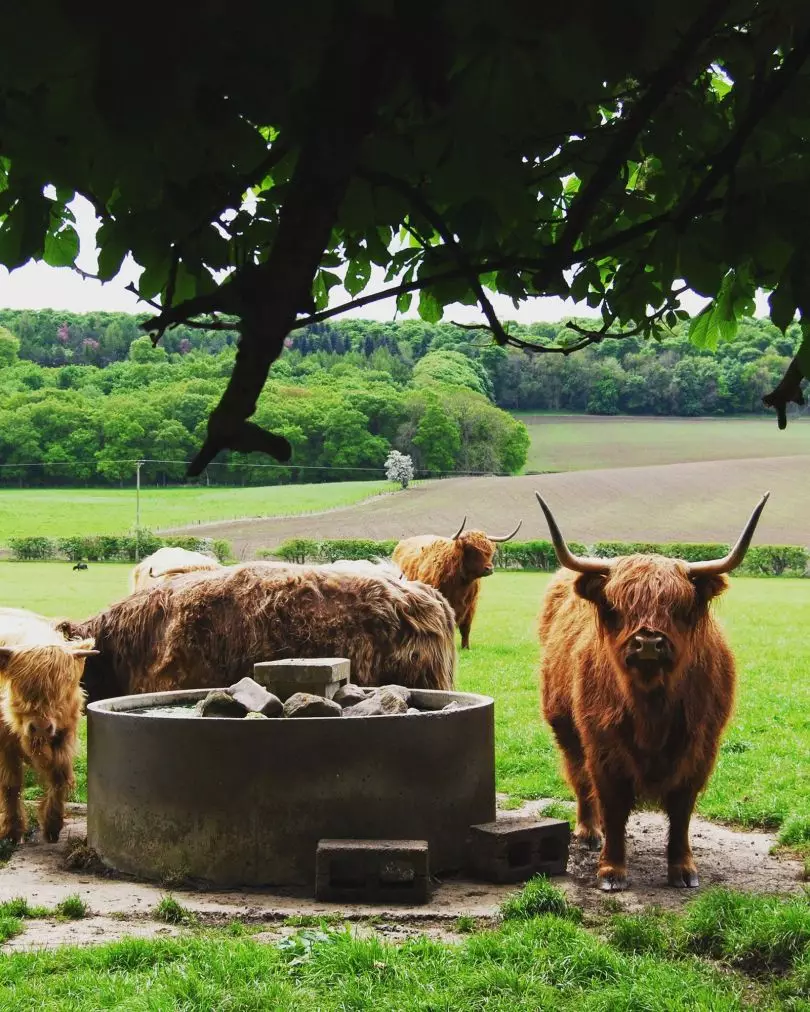 Robot Food ngagungkeun produk Yorkshire pangsaéna sareng Harewood Food and Drink Project 8319_5