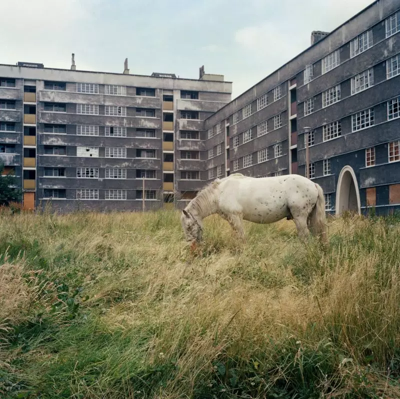 Fotografien von Peter Mitchell, die den Niedergang der berühmten Wohnungen in Quarry Hill in Leeds dokumentieren