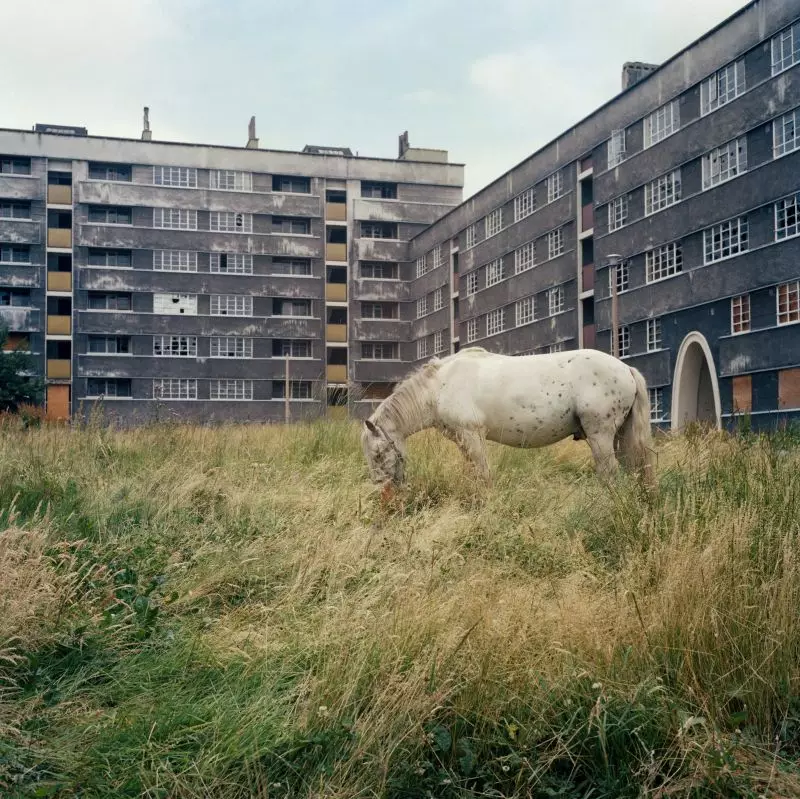 Leedseko Quarry Hill lautada ospetsuen desagerpena dokumentatzen duten Peter Mitchellen argazkiak