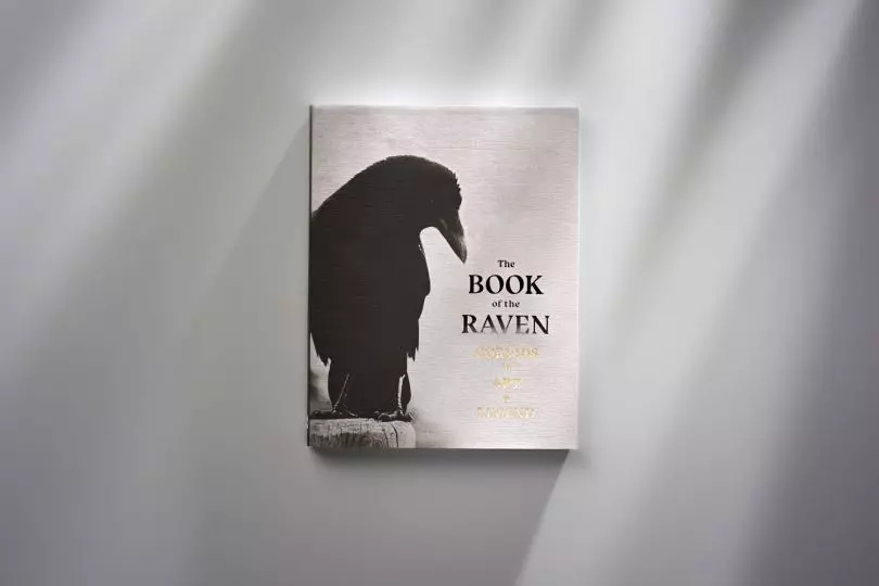 The Ravens: un libro affascinante che dà uno sguardo creativo agli uccelli 