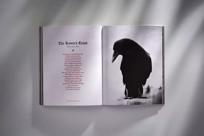 The Ravens: un libro affascinante che dà uno sguardo creativo agli uccelli 