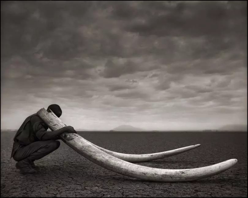 Όλες οι εικόνες είναι ευγενική προσφορά του Photo London. Το Art on Postcard θα αποκαλύψει τα ονόματα των φωτογράφων μετά την πώληση