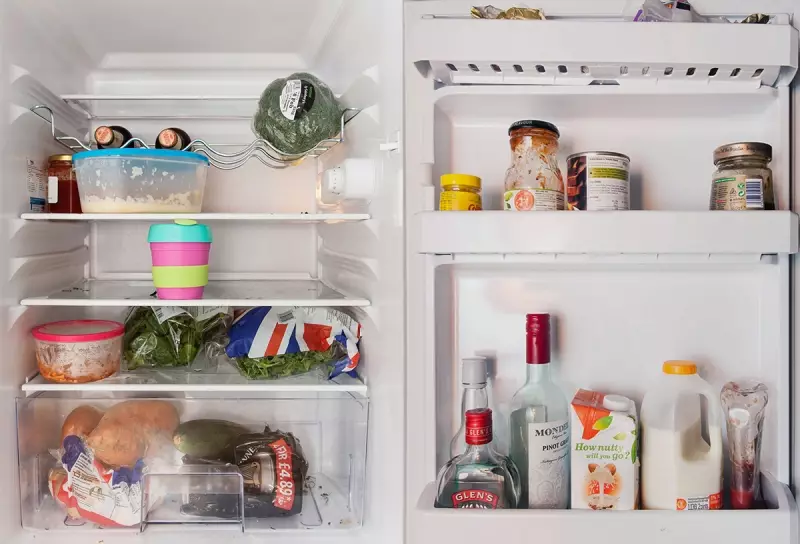 Show Me Your Fridge: el documento fotográfico de Sandra Junker sobre los frigoríficos y sus dueños