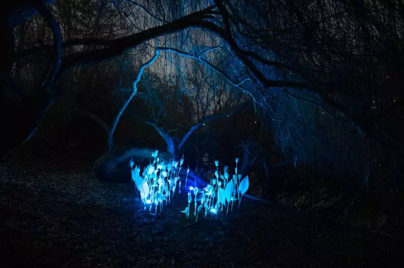 Pflanzen und Blumen, die vollständig aus nicht recycelbarem Müll bestehen, beleuchtet in einem dunklen Wald in Berlin 8590_2