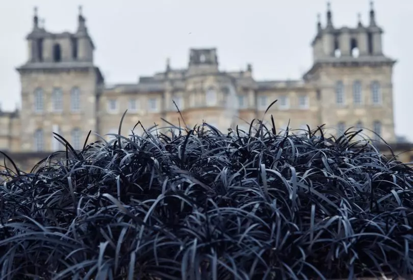 Black Pots, 2017 SOFTER: Jenny Holzer ku Blenheim Palace , Blenheim Palace, Woodstock, UK, 2017 © 2017 Jenny Holzer, membala wa Artists Rights Society (ARS), NY Chithunzi: Edd Horder