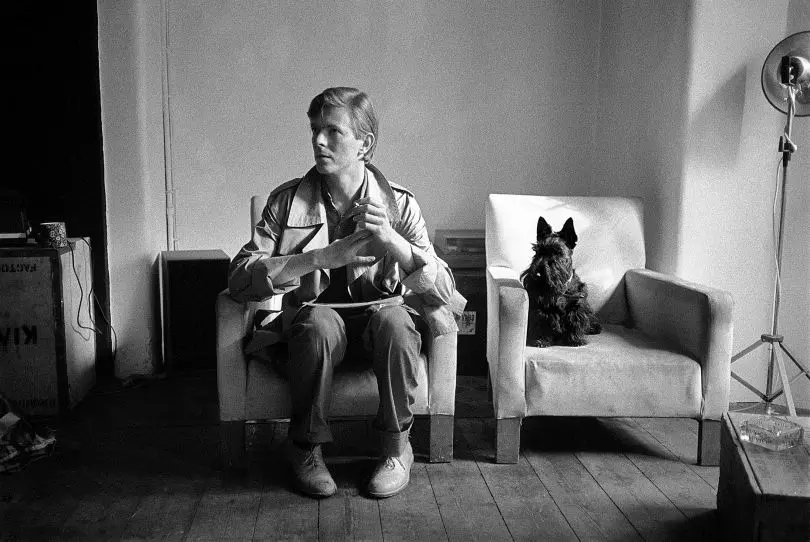 Καθιστός Bowie with Dog από τον Brian Duffy ευγενική προσφορά του The Duffy Archive για να εκτεθεί στο Art for Cure 2018 για να βοηθήσει τον καρκίνο του μαστού τώρα. © Duffy ευγενική προσφορά του The Duffy Archive