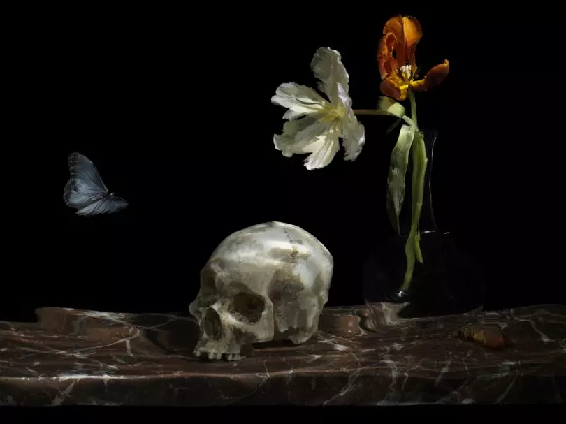 U-Alexander James, 'The Great Leveller', 2010, kusukela ku-'Vanitas', ukuphrinta kwe-Chromogenic, kufakwe epuleti le-aluminium epholishiwe, Ubuso obufakwe emnyuziyamu i-ar acrylic grade, 19 x 25 cm