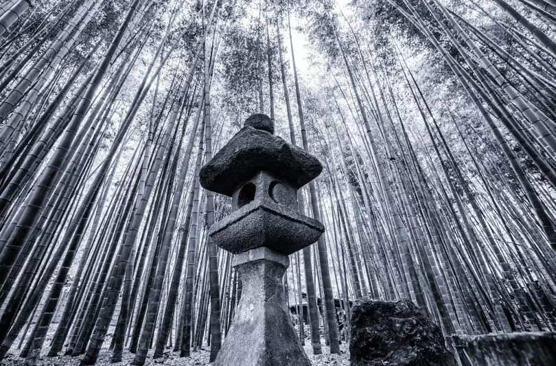 Bamboo Forest Fine Art Photography vum Takeo Hirose. Gewënner an der Kategorie Fotografie a Fotomanipulatioun Design, 2019-2020.