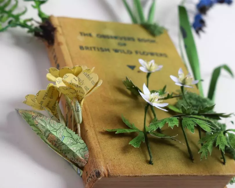 Le insolite opere d'arte di Kate Kato in cui funghi e fiori sembrano scaturire da libri di natura 9174_4