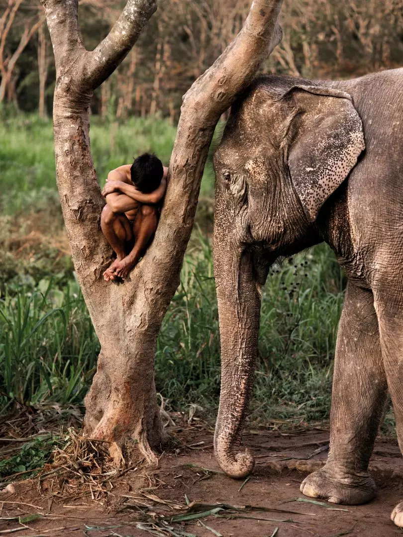 © Steve McCurry. بارلىق رەسىملەرنى فوتوگراف ۋە تاسچېن تەمىنلىگەن. CB تاپشۇرۇش ئارقىلىق