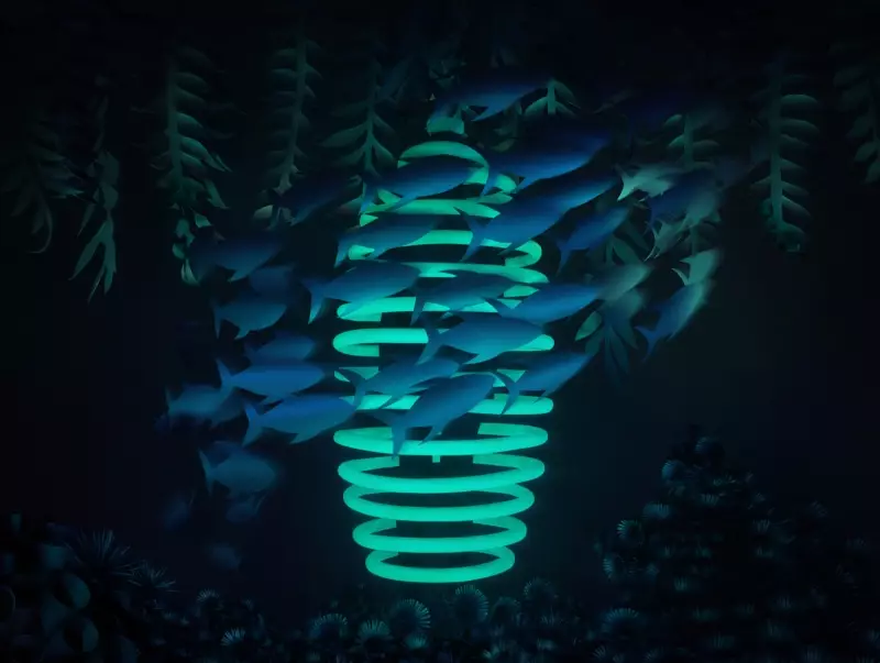 Living Lights of the Ocean: Pono ea avant-garde ea lefatše la metsing