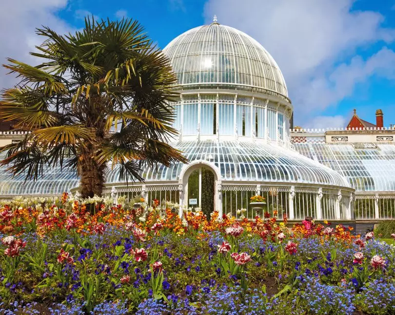 Palm House. Şəkil [Adobe Stock] (https://stock.adobe.com/uk) tərəfindən verilmişdir