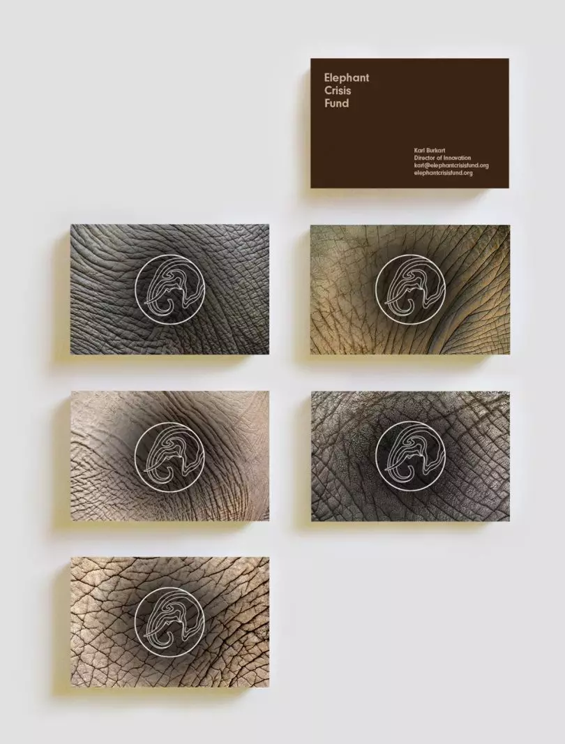 Superfried's new wildlife conservation identities for the Leonardo DiCaprio Foundation 9583_2