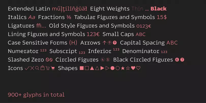 Compiler by Identity Letters minangka kulawarga font 'tanpa embel-embel' sing diilhami dening tipografi konsol 963_8