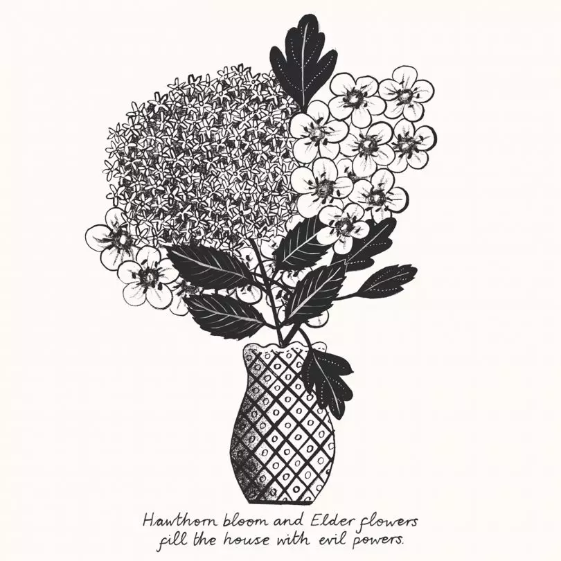አሊስ Pattullo Elderflower እና Hawthorn, 2016 በአርቲስቱ ሞገስ