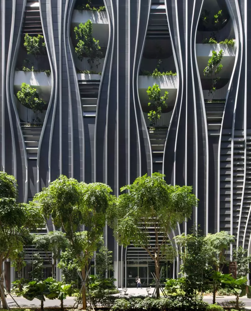 Design Bridge'in Singapur'un en yeni ikonik binası kimliği, 'şehirde bir vaha'yı kutluyor 974_1