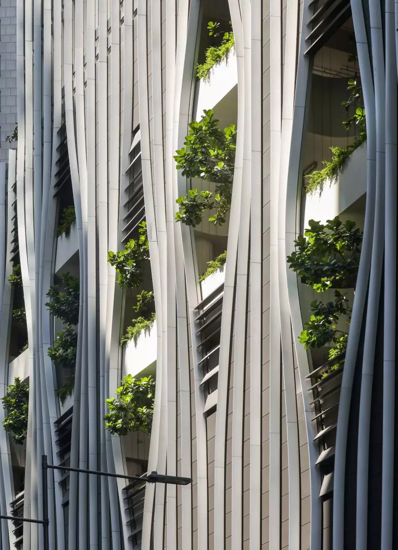 Identiteti i Design Bridge për ndërtesën më të fundit ikonë të Singaporit feston një 'oaz në qytet' 974_3